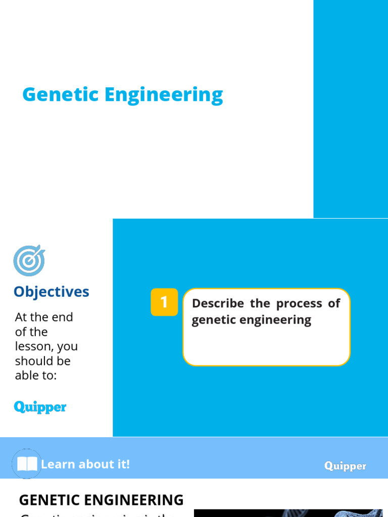 4genetic Engineering | PDF | Genetically Modified Organism | Genetic ...