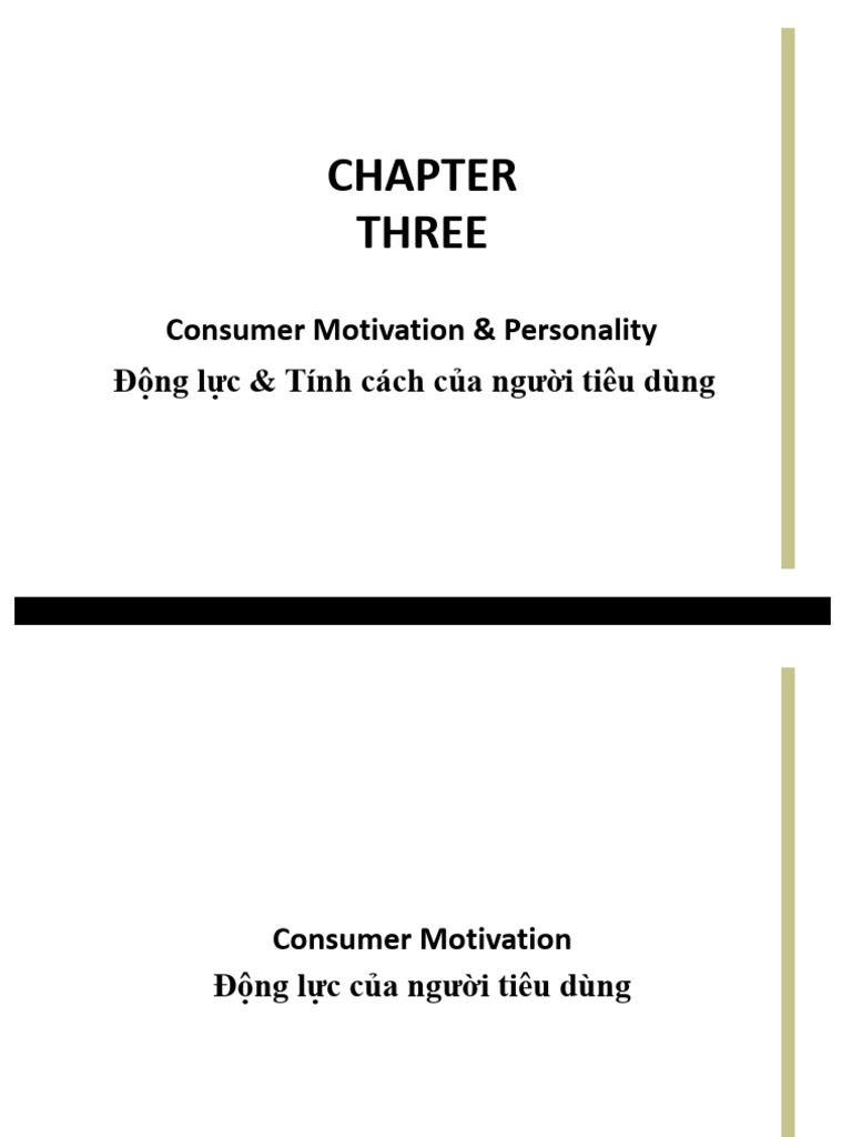 Consumer Behavior - Schiffman - Chap 3 | PDF