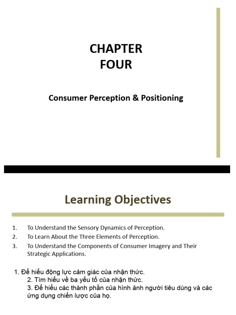 Consumer Behavior - Schiffman - Chap 4 | PDF