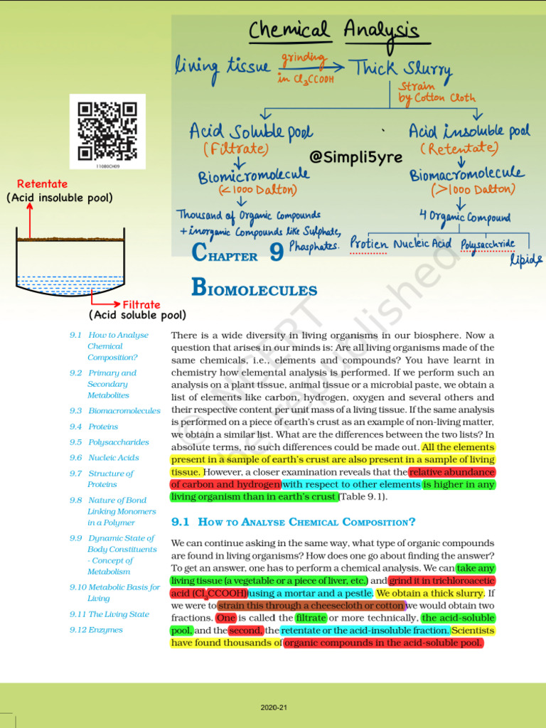 Biomolecules Highlighted NCERT | PDF