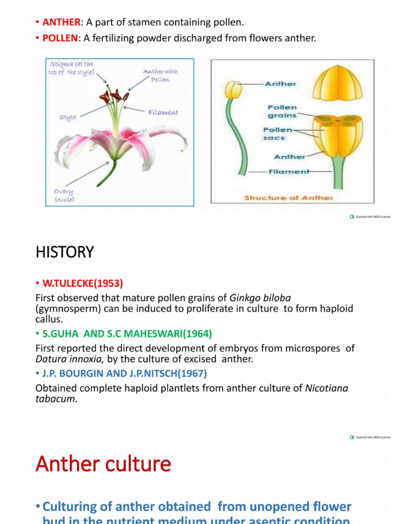 Anther and Pollen Culture | PDF