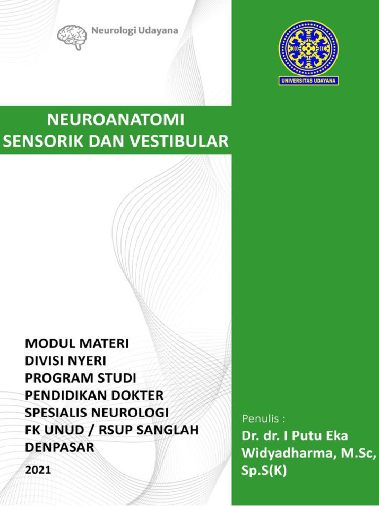 Neuroanatomi Sensorik dan Vestibular | PDF