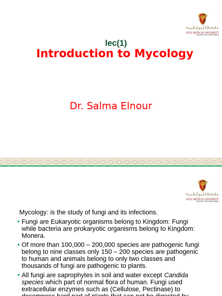 Lecture1 Introduction To Mycology | PDF | Fungus | Yeast