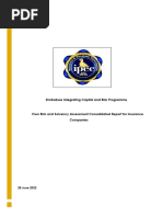 The 12 Page ORSA | PDF | Risk | Risk Management