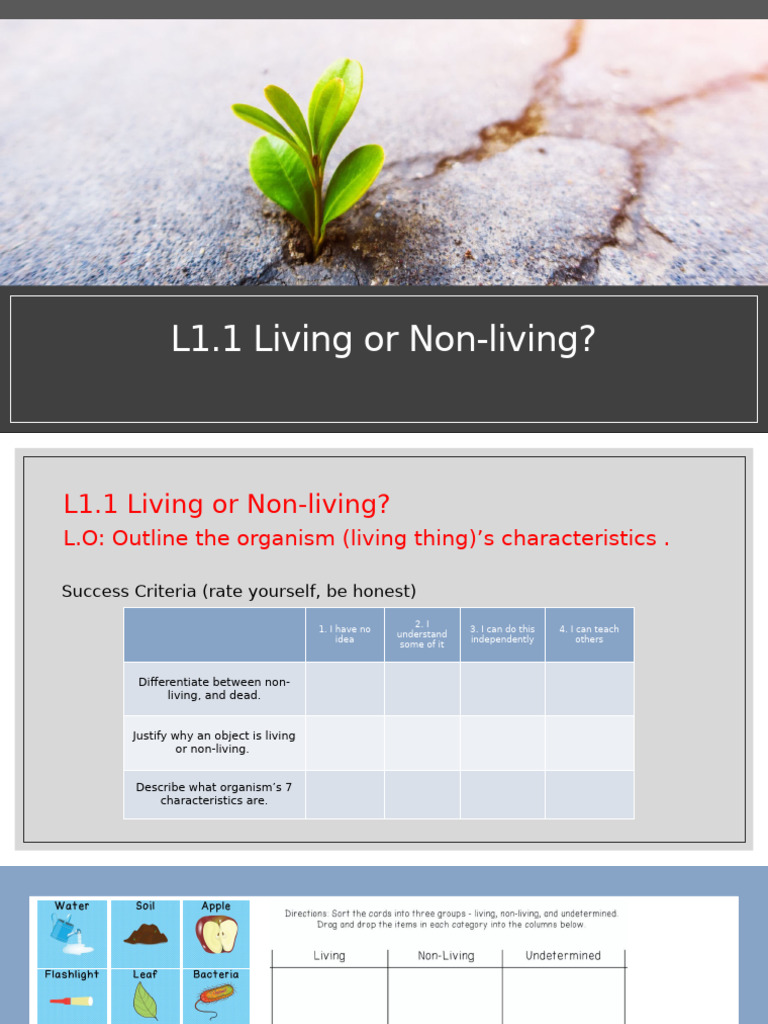 Living vs Non-Living: Characteristics Explained | PDF