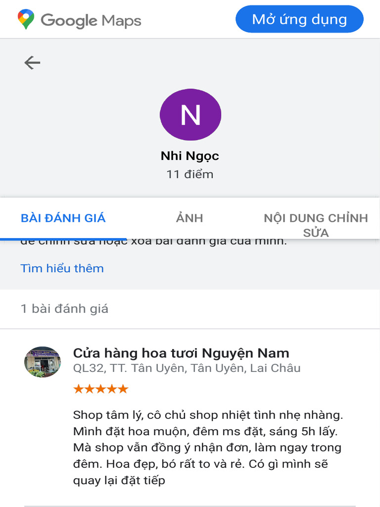 Google Maps | PDF