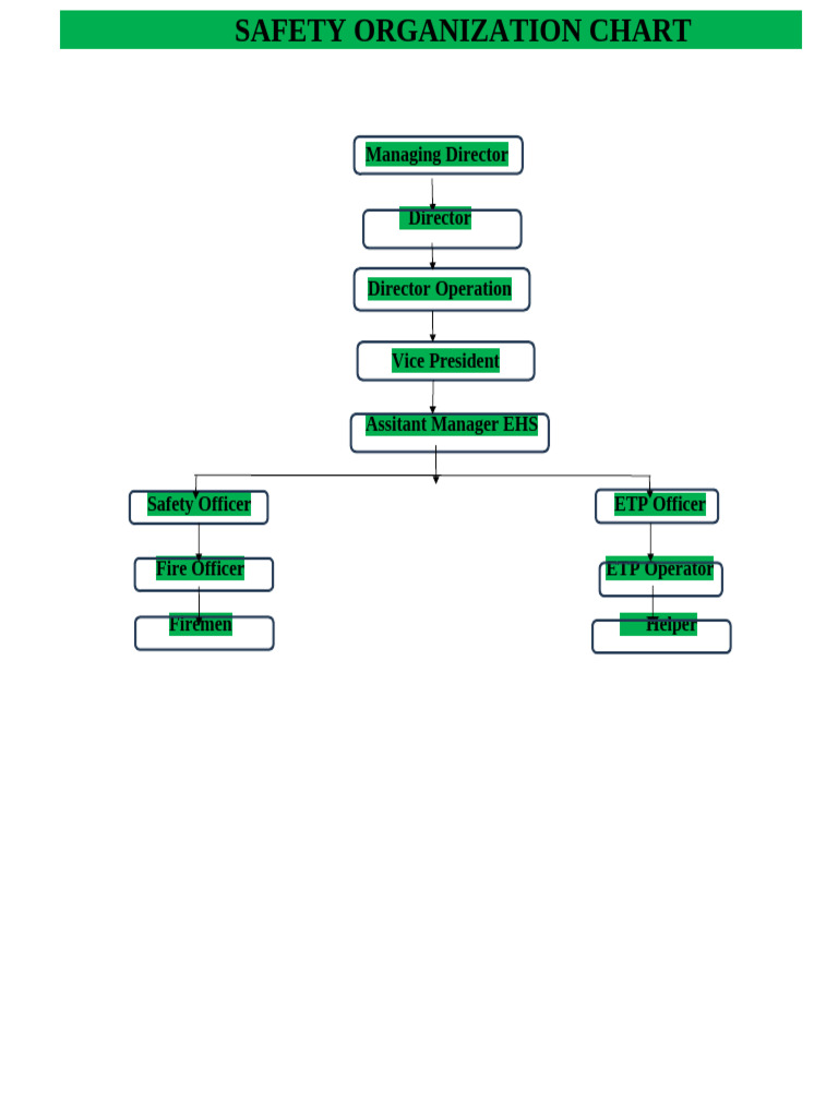 Safety Organization Chart | PDF