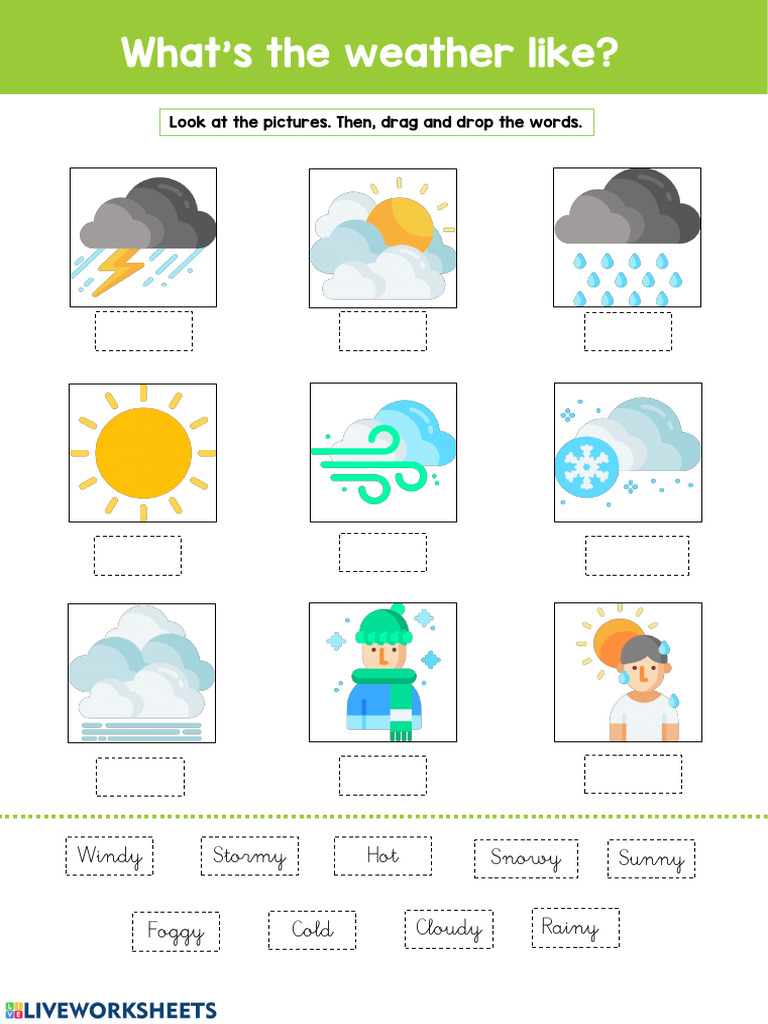 Activity 8 The Weather | PDF