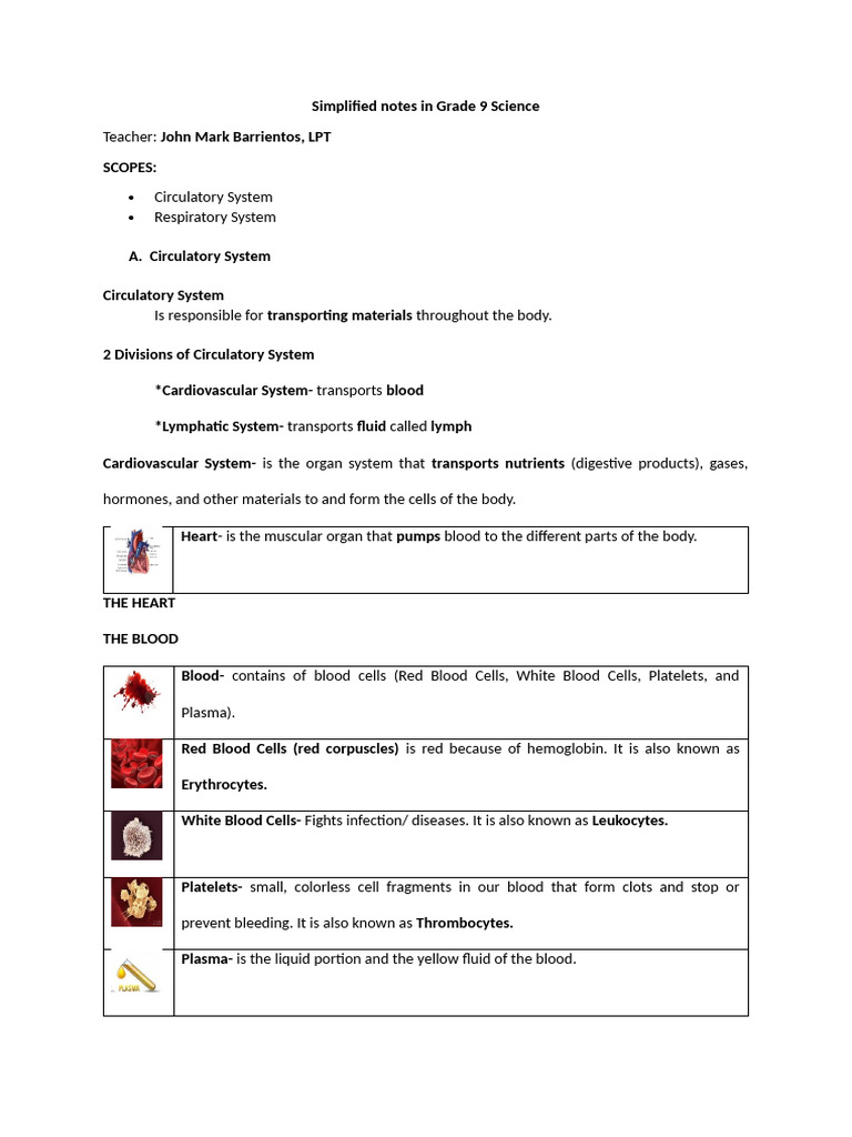 Grade 9 Circulatory & Respiratory Notes | PDF | Blood | Circulatory System
