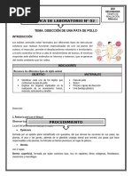 Tejidos en el muslo de pollo | PDF | Hueso | Músculo