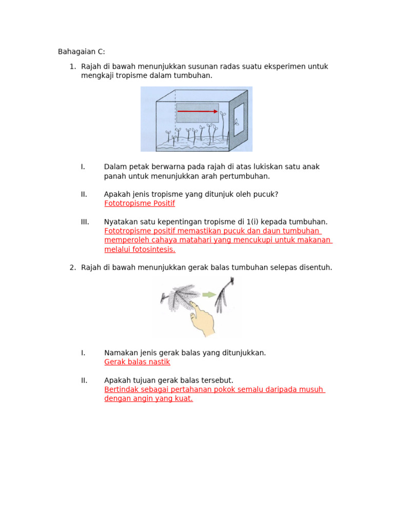 SN UPK1 Bab 1 Rangsangan Dan Gerak Balas | PDF