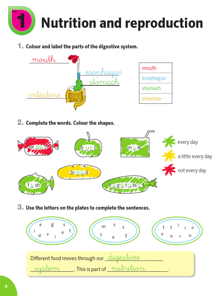 NS2 M1 Activity Book Answer Key | PDF | Circulatory System | Human Anatomy