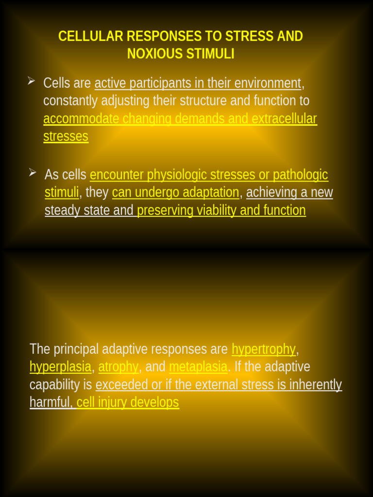 Cellular Adaptations | PDF | Epithelium | Medical Specialties