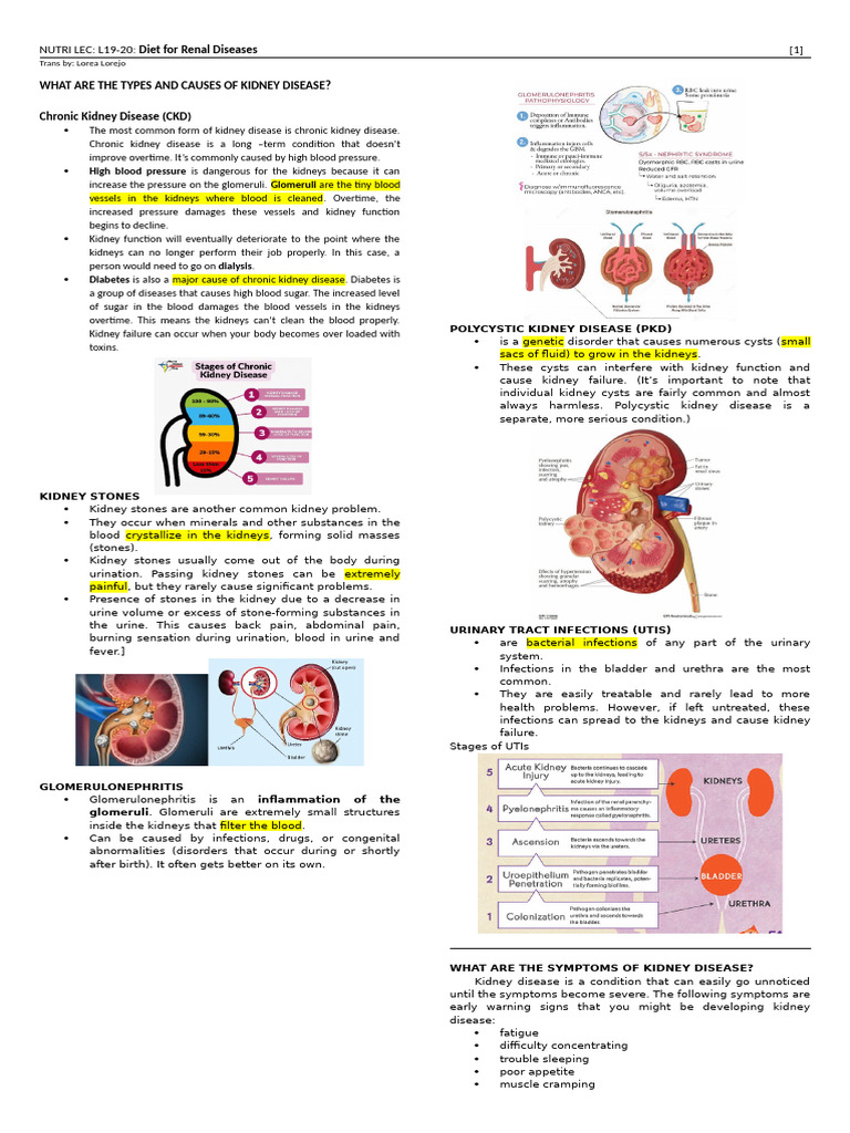 L19-20 Diet For Kidney Diseases | PDF | Kidney | Chronic Kidney Disease