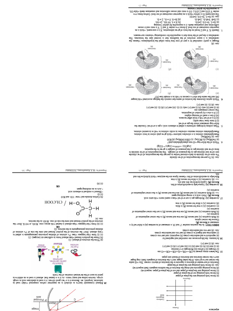 Sci QP Answer Bo - Booklet - Part - 1 | PDF | Meiosis | Rainbow