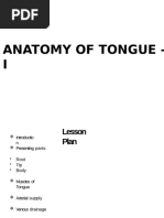 Tongue Anatomy | PDF | Tongue | Human Anatomy