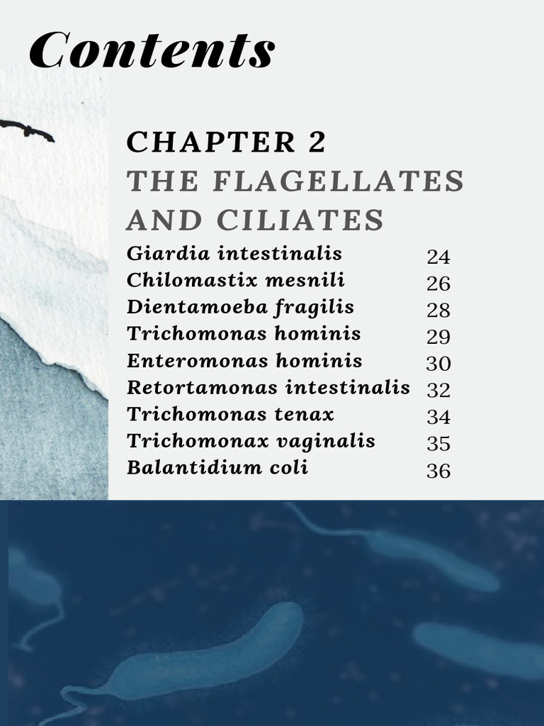 Flagellates and Ciliates Overview | PDF | Microbiology