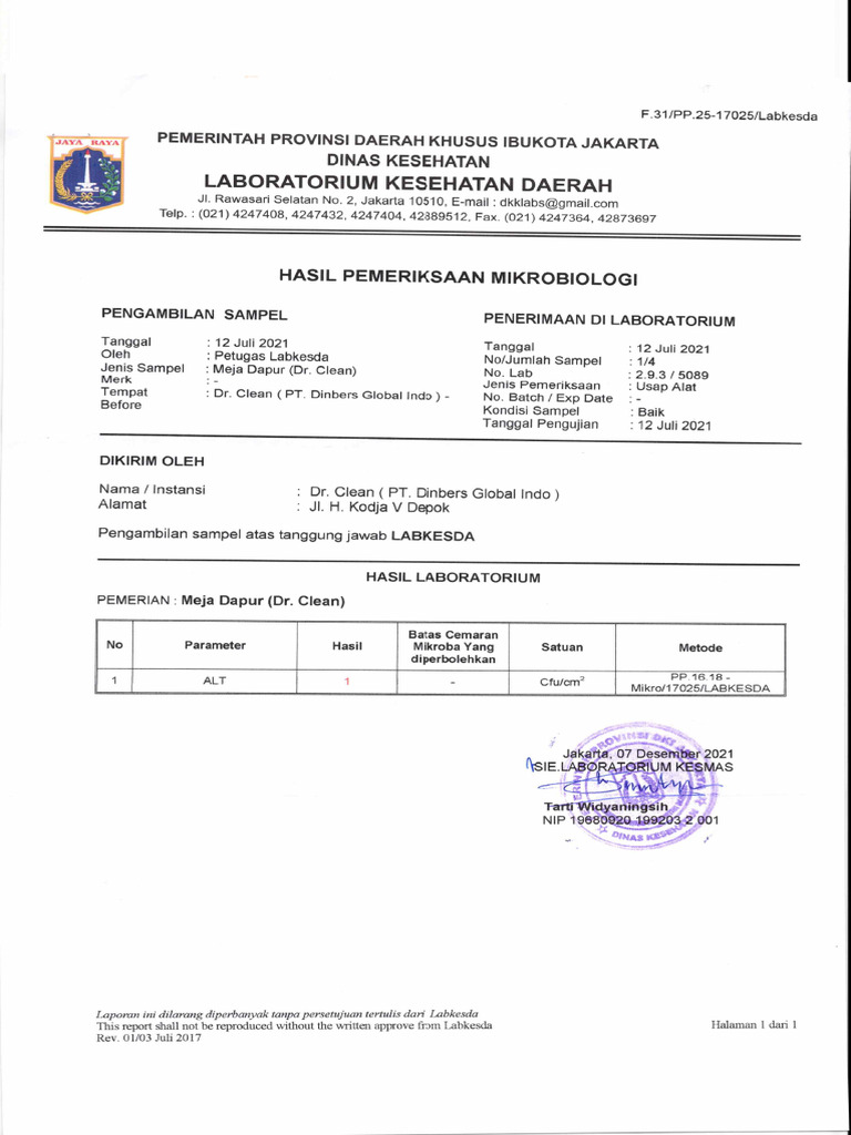 Hasil Lab Dr. Clean | PDF