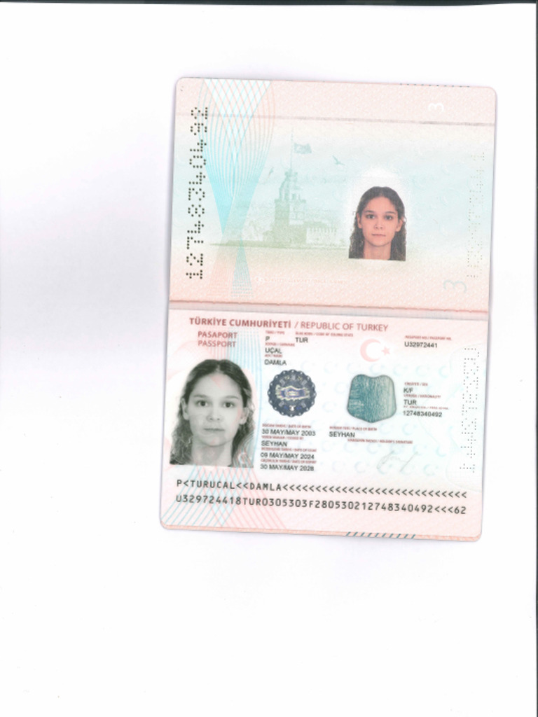 Pasaport Ve Vize | PDF