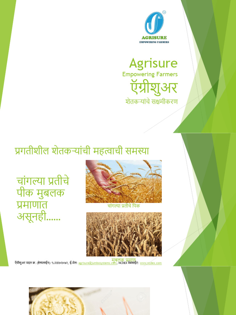 Agrisure PPT - Marathi 3 | PDF