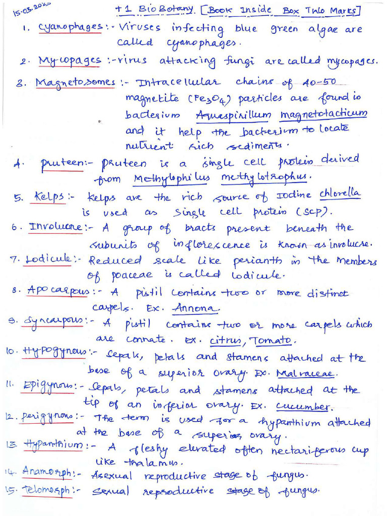 Namma Kalvi 11th Bio Botany Book Inside Box Two Mark Questions EM ...