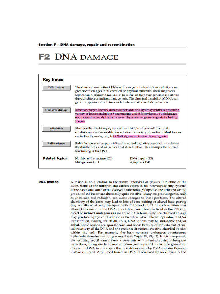 8-Dna Damage and Repair | PDF
