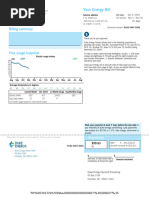 Duke Energy Bill Overview and Payment Guide | PDF