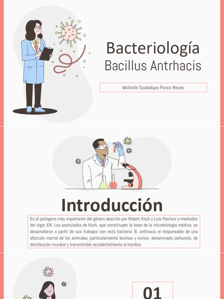 Bacterio Log I A | PDF | Bacilo | Microbiología