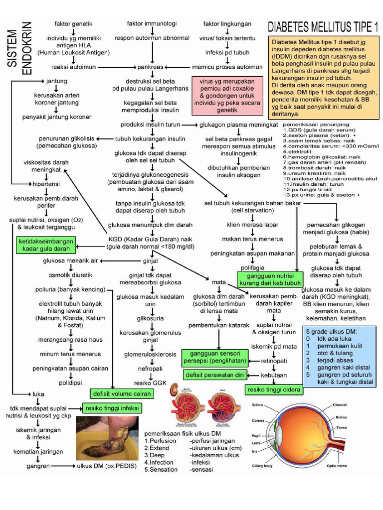 WOC DM&Hipertiroid | PDF