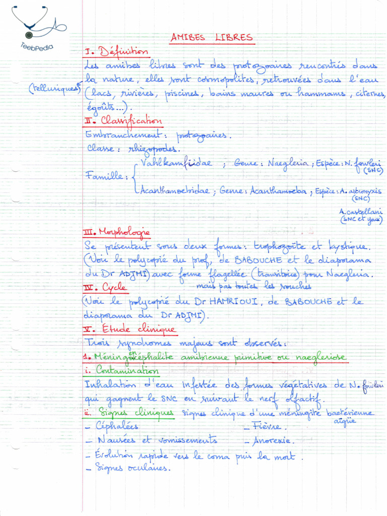 Amibes Libres (MEZGHICHE) | PDF