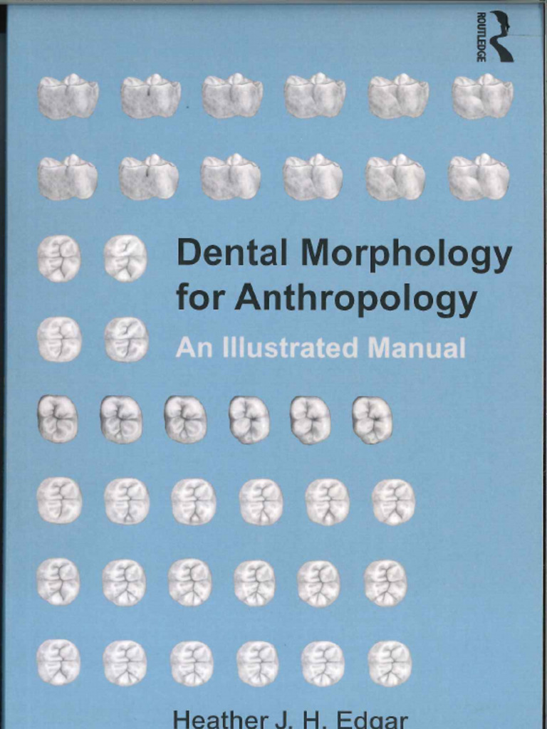 Dental Morphology For Anthropology An Illustrated Manual | PDF