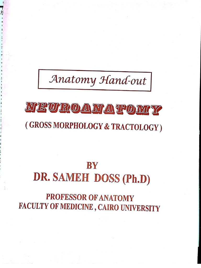 Anatomy Hand - Out Neuroanatomy Notes by Sameh Doss | PDF