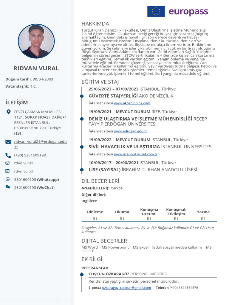 CV - Ridvan Vural New PDF | PDF