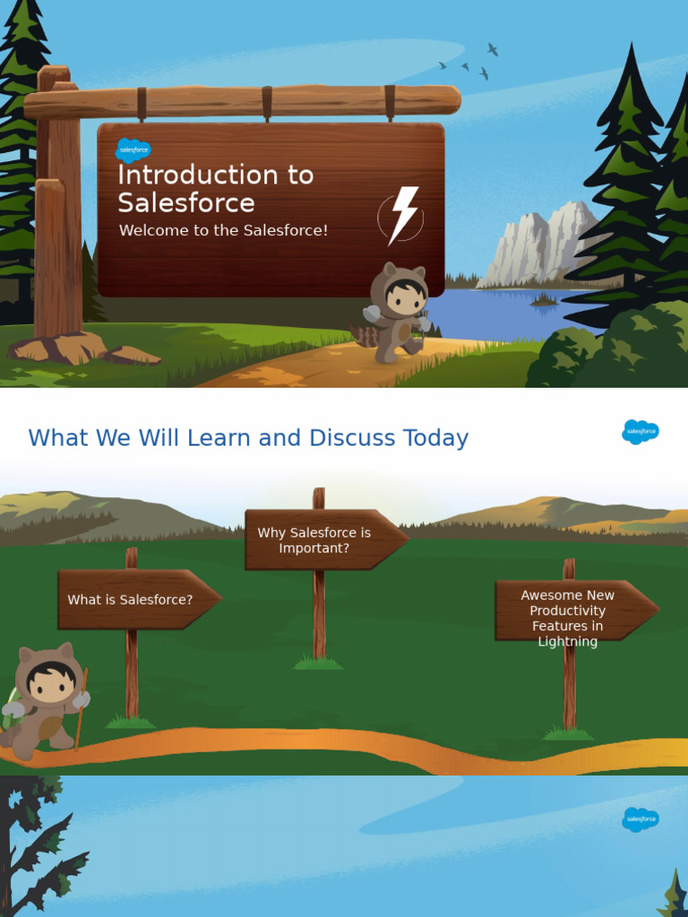 Salesforce Lightning: Boosting Productivity | PDF | Information ...