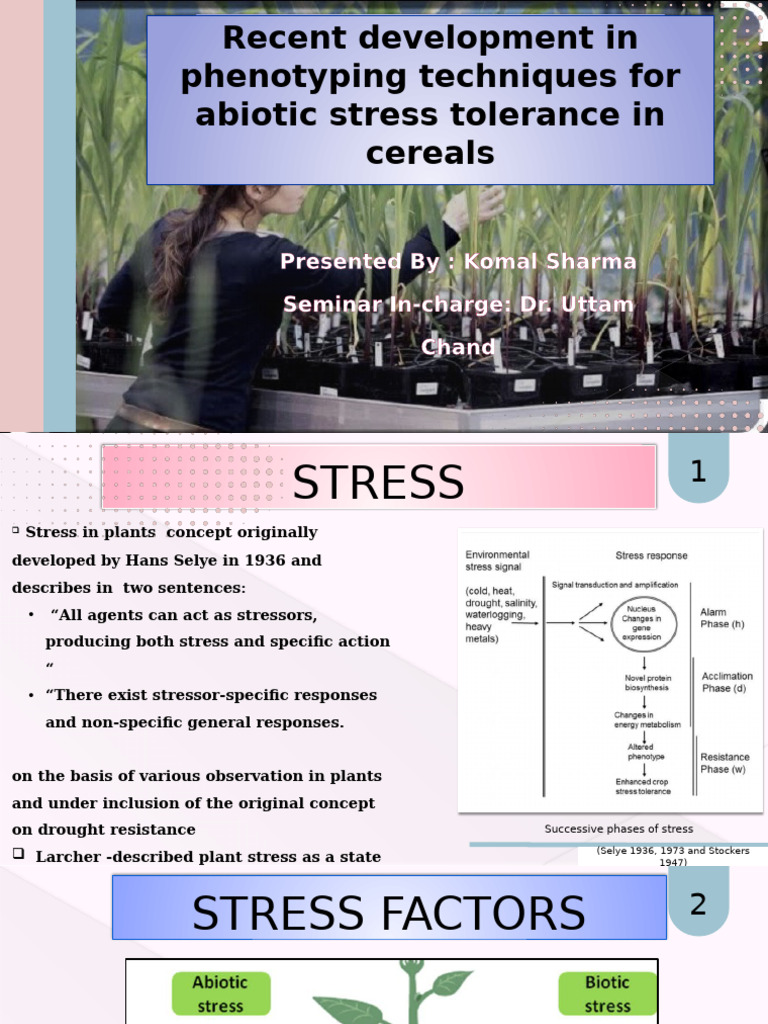 Recent Development in Phenotyping Techniques For Abiotic Stress ...