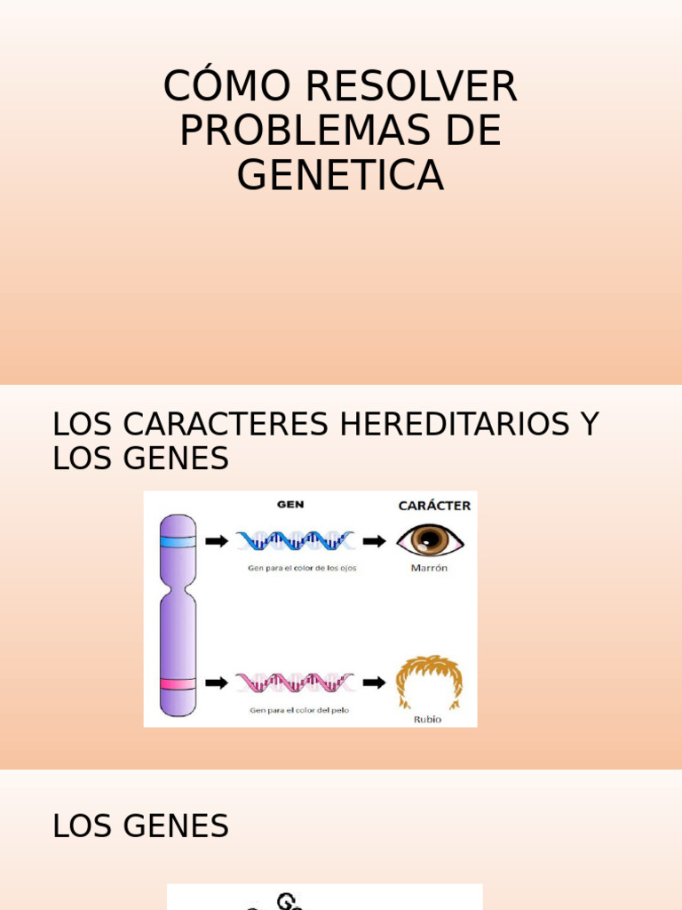 Resolución de Problemas de Genética | PDF | Dominancia (Genética) | Alelo