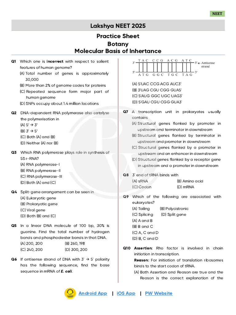 66881c8b9d84fbd5c8aece8d_##_Molecular Basis of Inheritance Practice Sheet | PDF | Dna | Rna