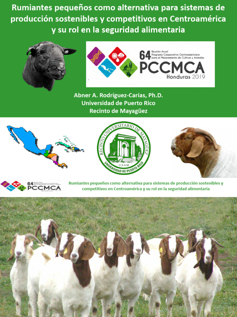 Abner - Rodríguez-Rumiantes Pequeños Como Alternativa | PDF | Alimentos ...