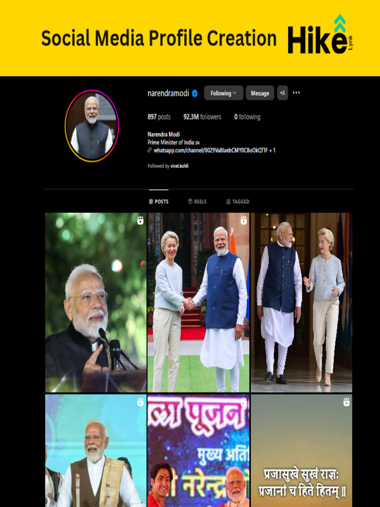 Catalogue & Sample | PDF