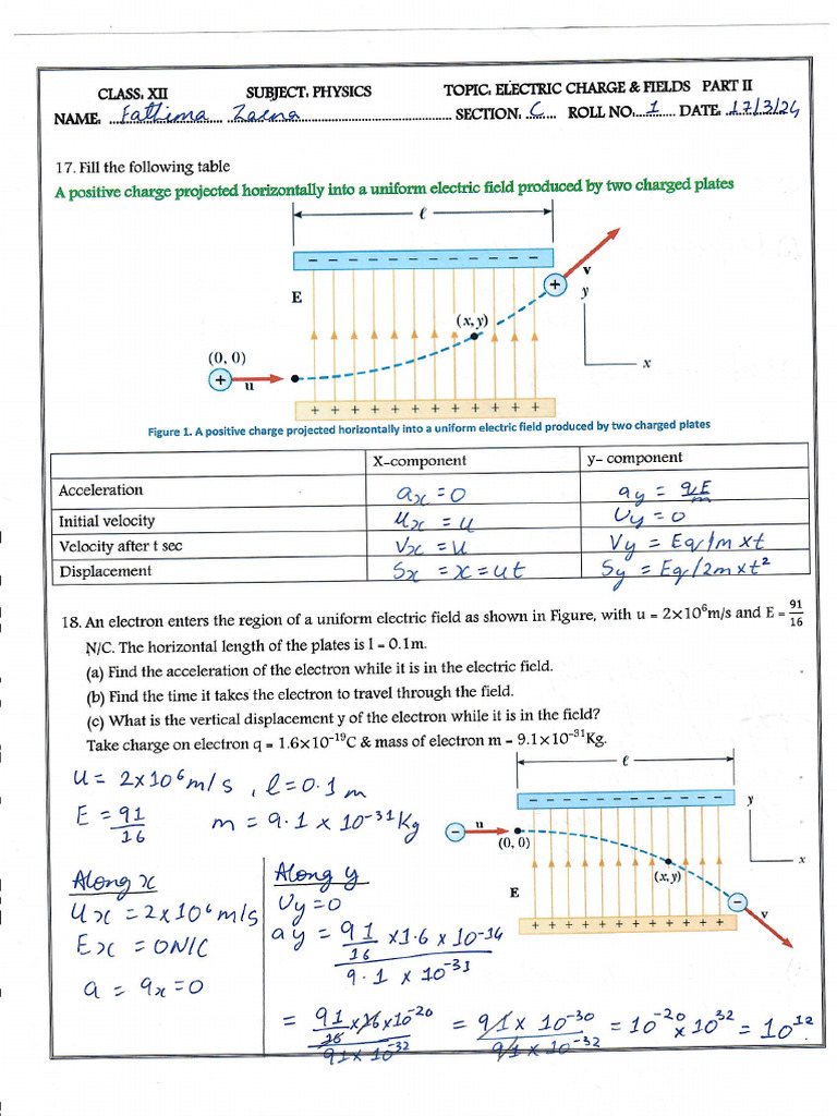 PHY 1.2 Assignment | PDF