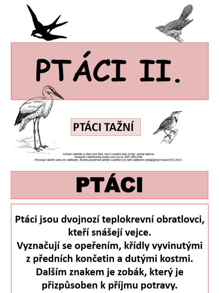 Ptaci Ii | PDF