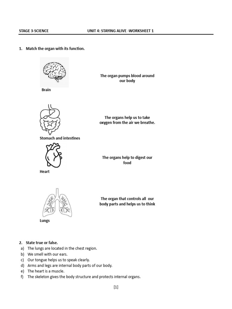 Cambridge Primary Science 3 Unit4 Staying Alive 4 1 Human Body ...