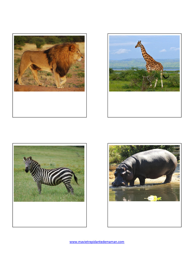 imagier-animaux-savane-jungle | PDF