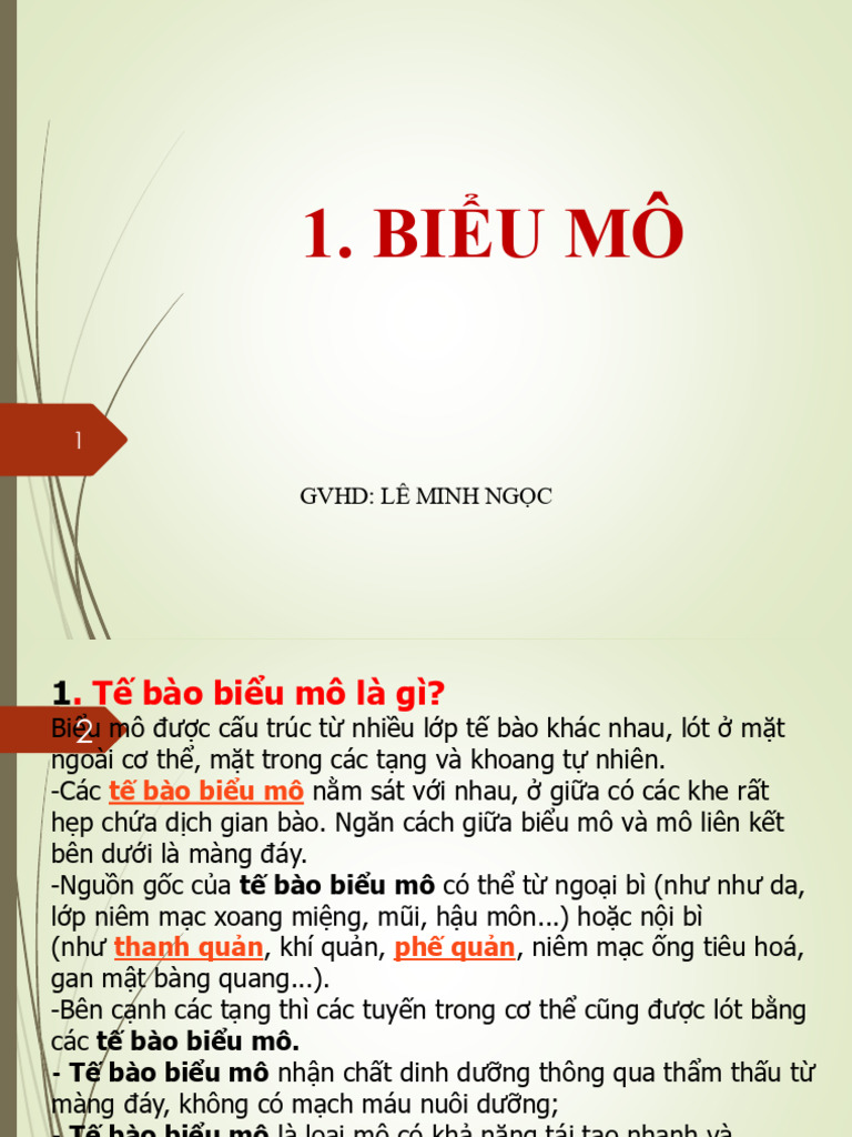1 - Bieu Mo | PDF