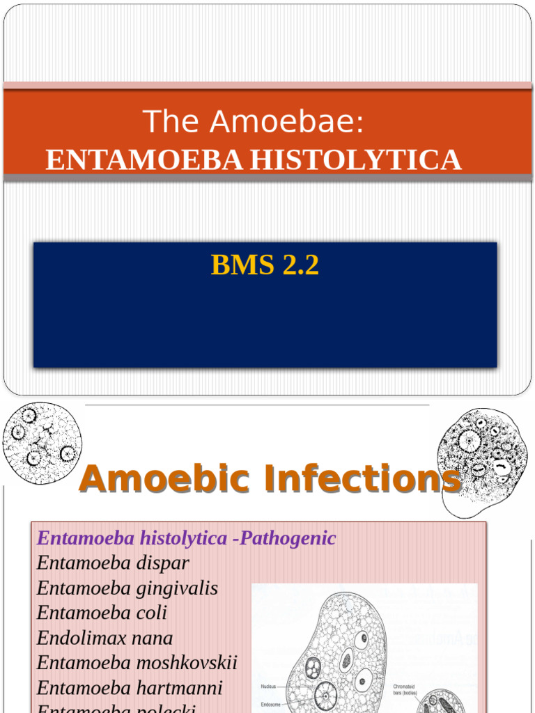Entamoeba Histolytica | PDF | Medical Specialties