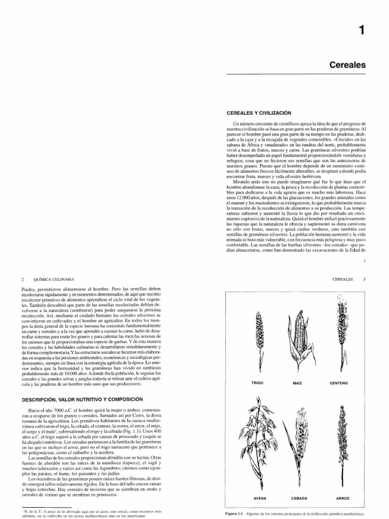 Quimica Culinaria A. Coenders 1998 ACRIBIA | PDF