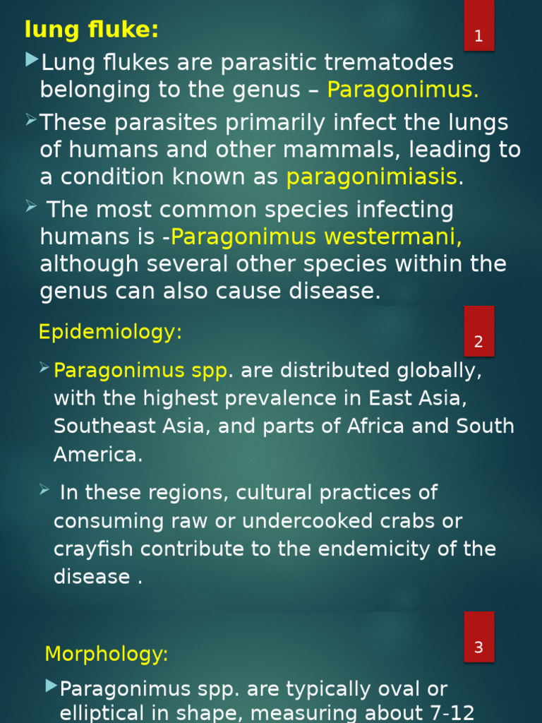 Helmin Lec 2 3 4 - 075449 | PDF | Medical Specialties | Diseases And ...