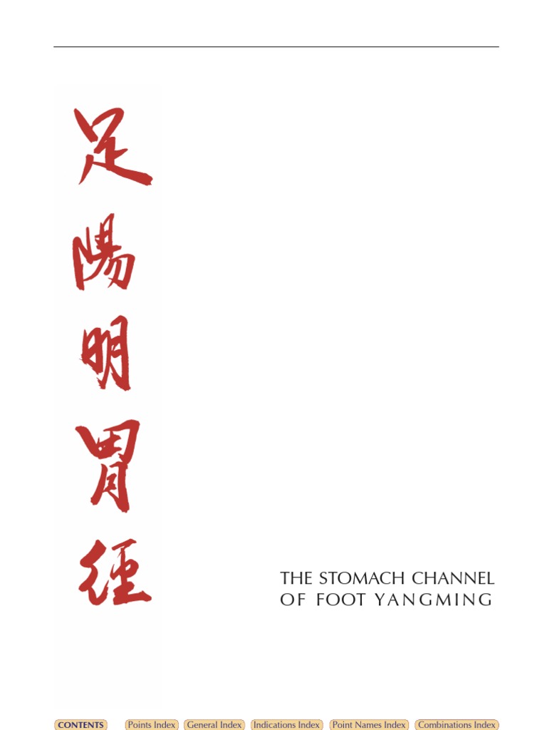 Stomach Channel Overview and Pathways | PDF | Abdomen | Human Leg