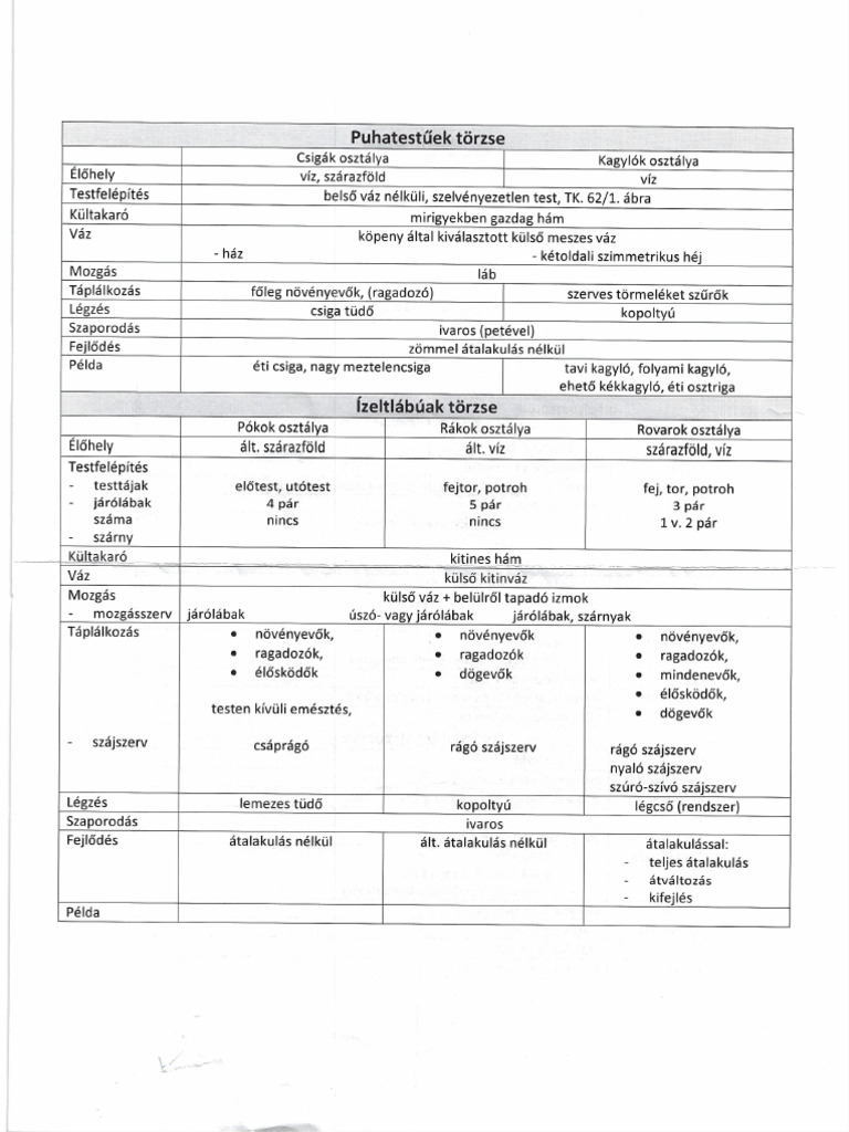 Biosz 7.oszt Állatok | PDF