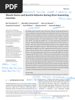 Askling L-Protocol for Hamstring Rehab | PDF | Electromyography ...